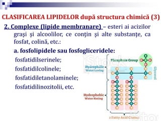 lipide.pdf