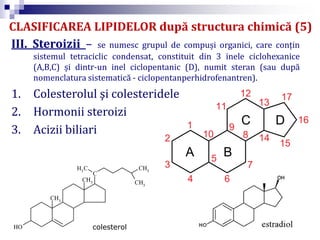 lipide.pdf