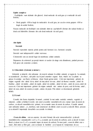 Lipidele caracteristica generala | DOCX