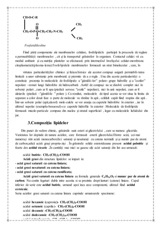 Lipidele caracteristica generala | DOCX