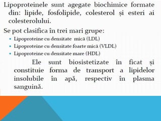 Unde Se Gasesc Lipidele – Les Meilleurs Sources De Lipides – RRRM