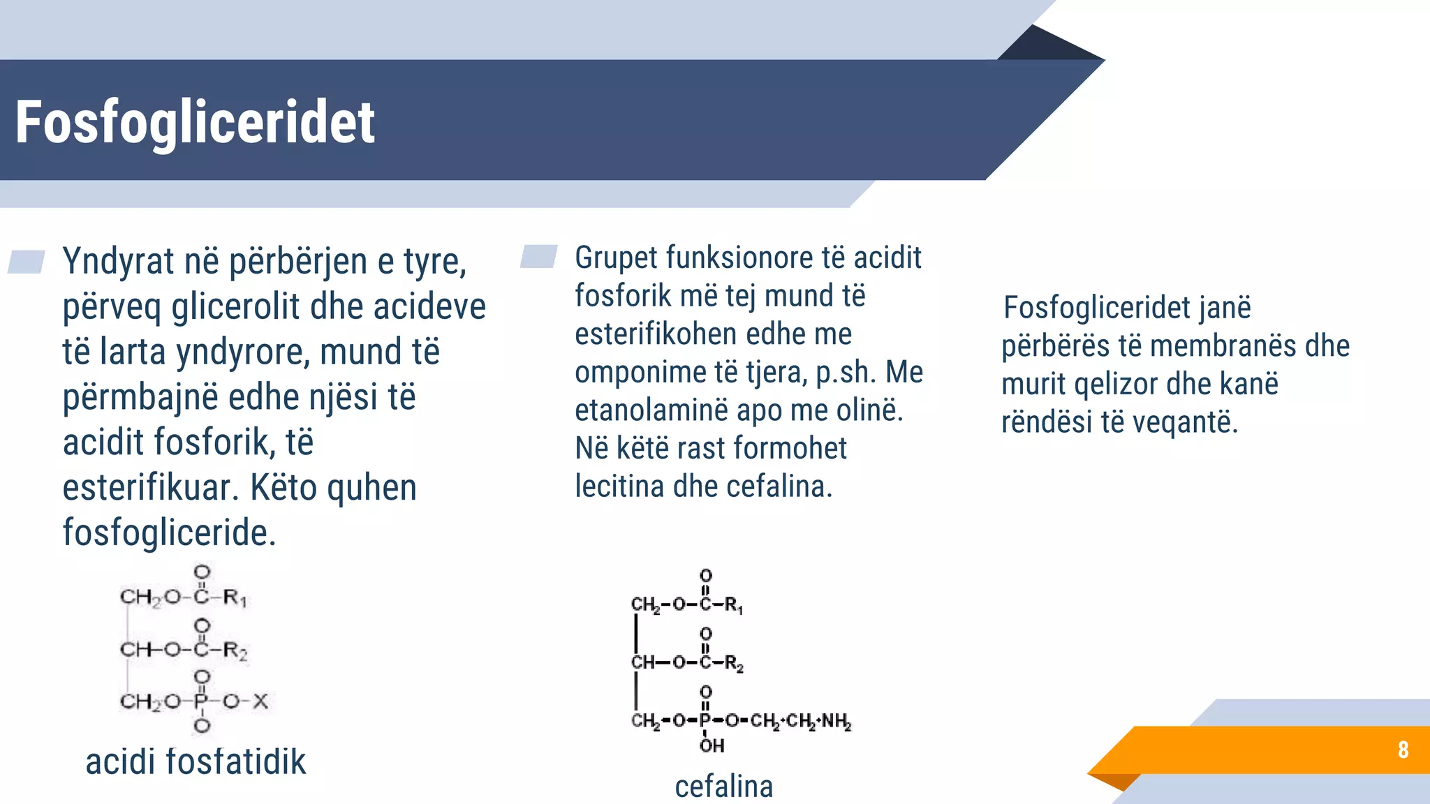Lipidet | PPTX