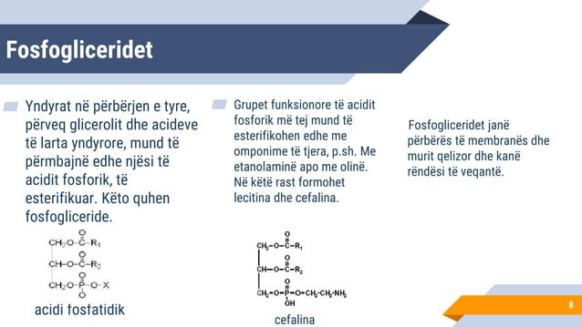 Lipidet | PPTX