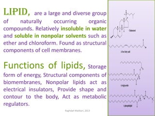 Lipid extraction by folch method | PPTX