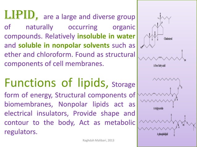 Lipid extraction by folch method | PPTX