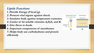 Animal nutrition veterinary Lipid fat.pptx