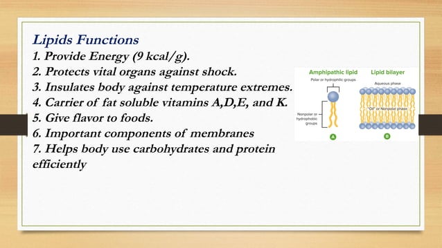 Animal nutrition veterinary Lipid fat.pptx