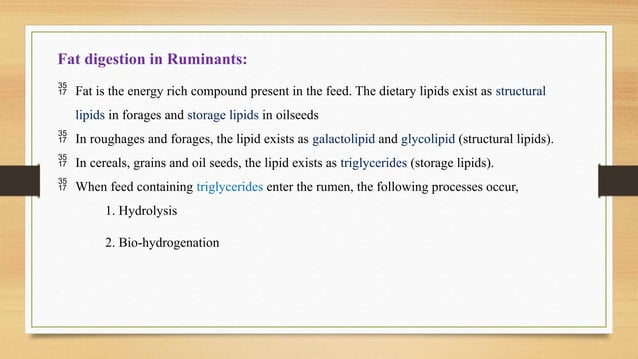 Animal nutrition veterinary Lipid fat.pptx