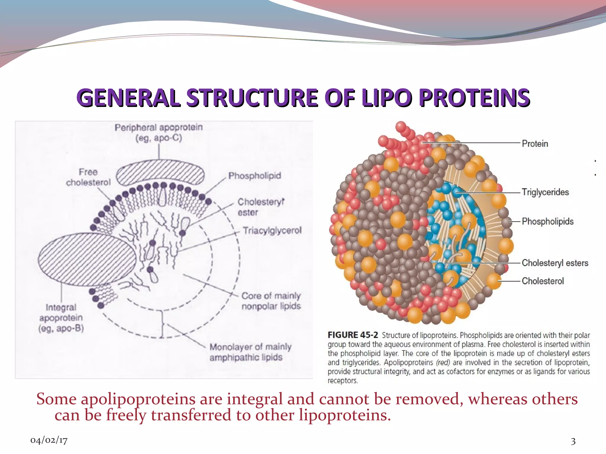 Lipoprotein disorders | PPT