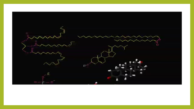 Lipid final notes.pptxLipids are essential organic compounds that ...