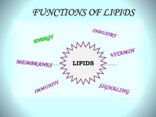Lipid functions | PPTX
