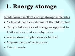 Lipid functions | PPTX