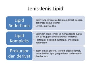 lipid I.pptx