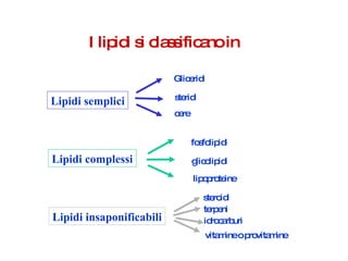 Lipidi | PPT | Chemistry | Science