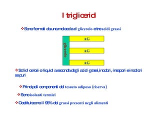 Lipidi | PPT | Chemistry | Science