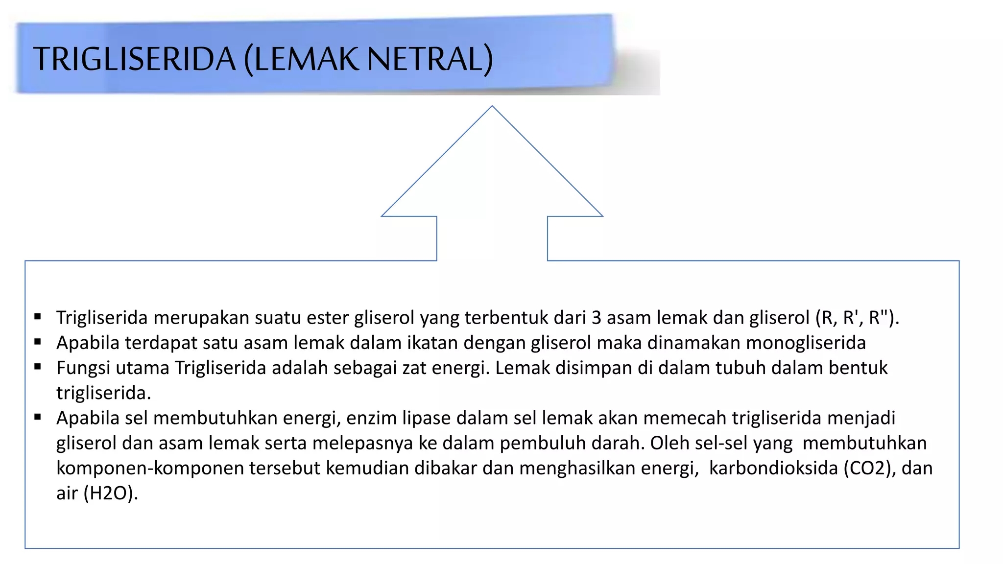 LIPID | PPTX
