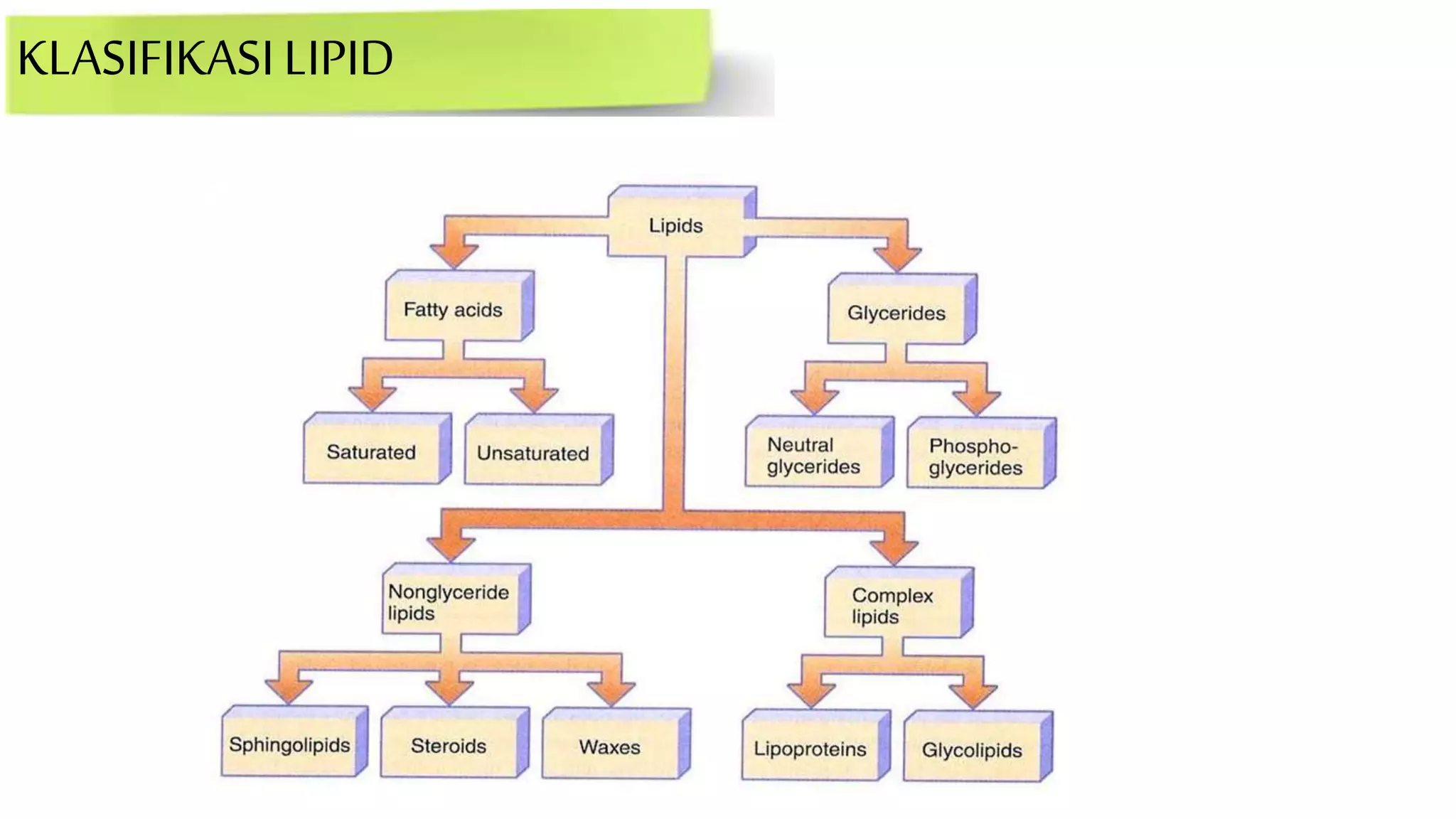 LIPID | PPTX