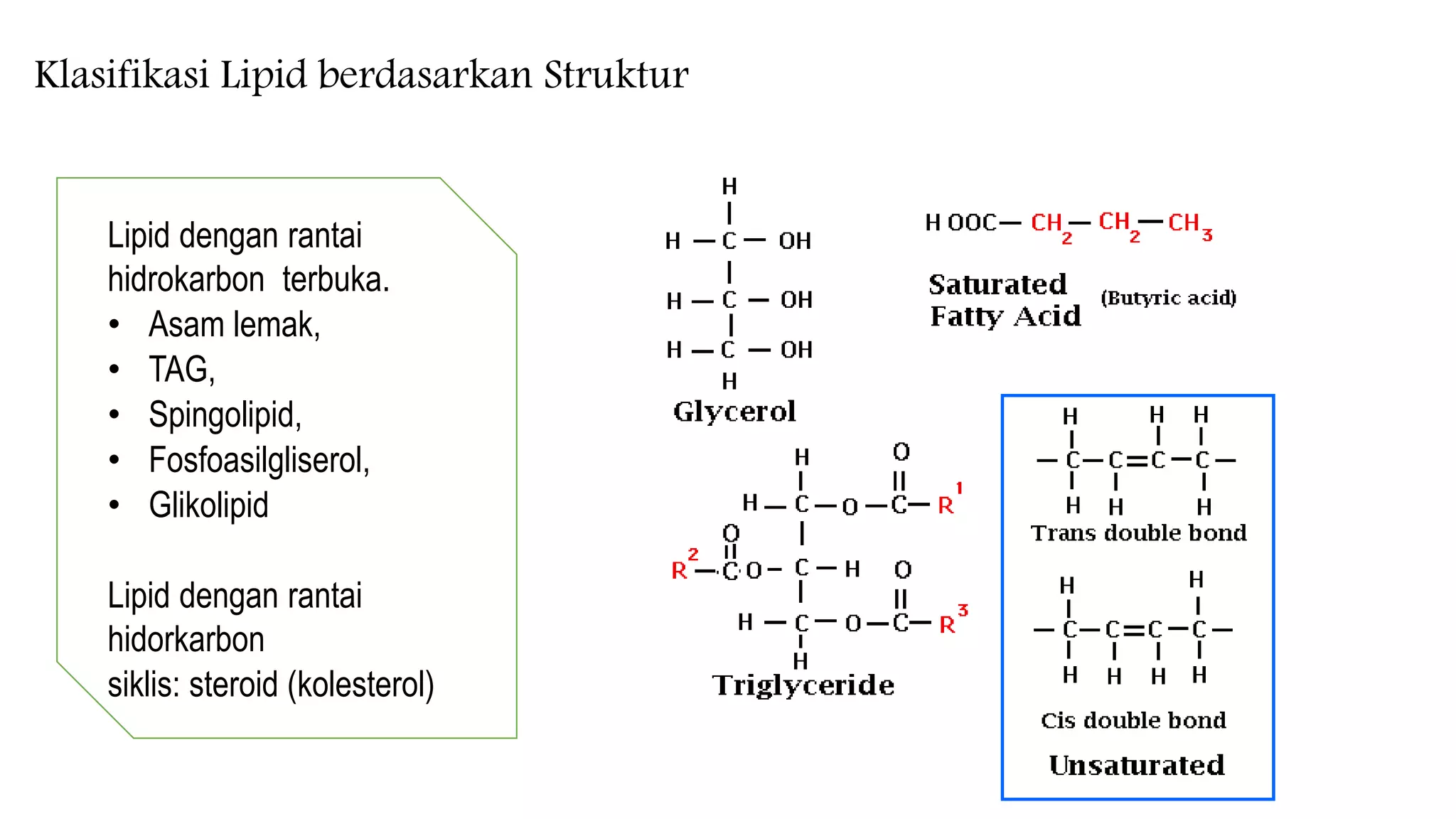 LIPID | PPTX