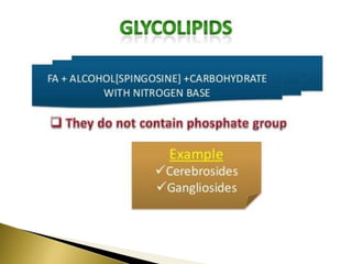 lipid II complex lipids.pptx