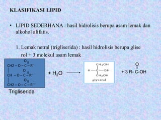 Lipid kimia organik ii | PPTX