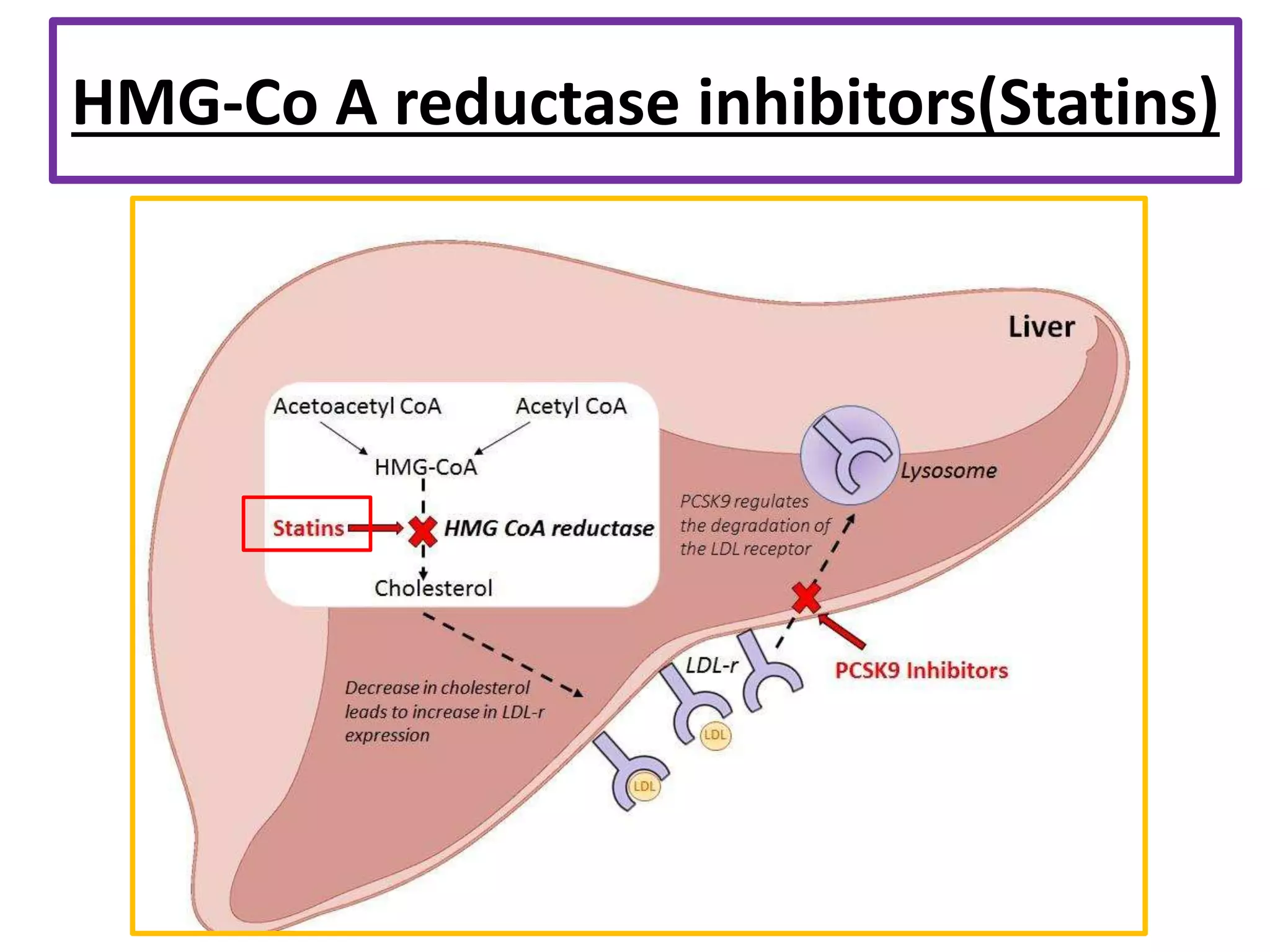 LIPID LOWERING THERAPY.pptx