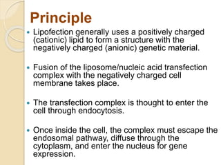 Lipid mediated lipofection | PPTX