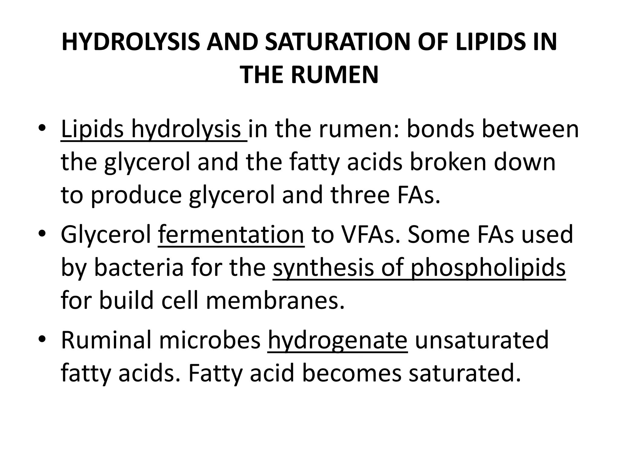 Lipid Metabolism (Animal Nutrition) | PPTX
