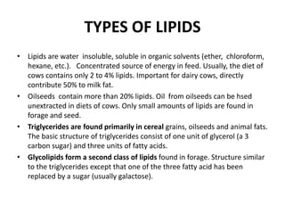 Lipid Metabolism (Animal Nutrition) | PPTX