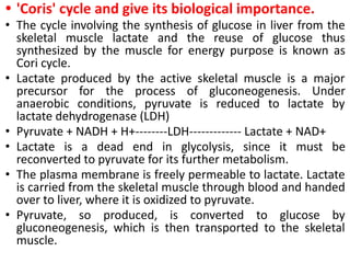 Metabolism (Part 2- Lipids) | PDF