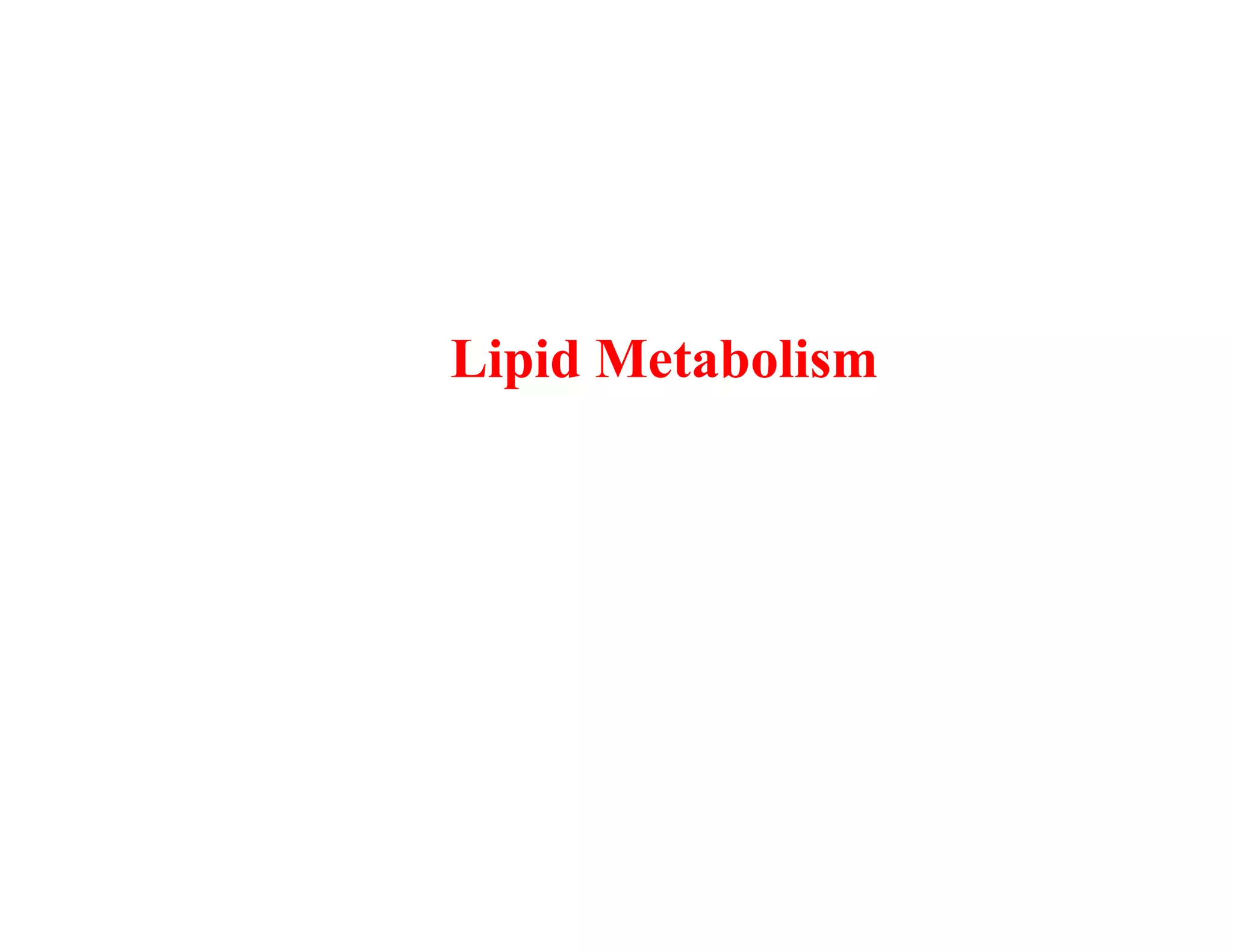 Lipid metabolisam modified.pdf | Digestive Disorders | Diseases and ...