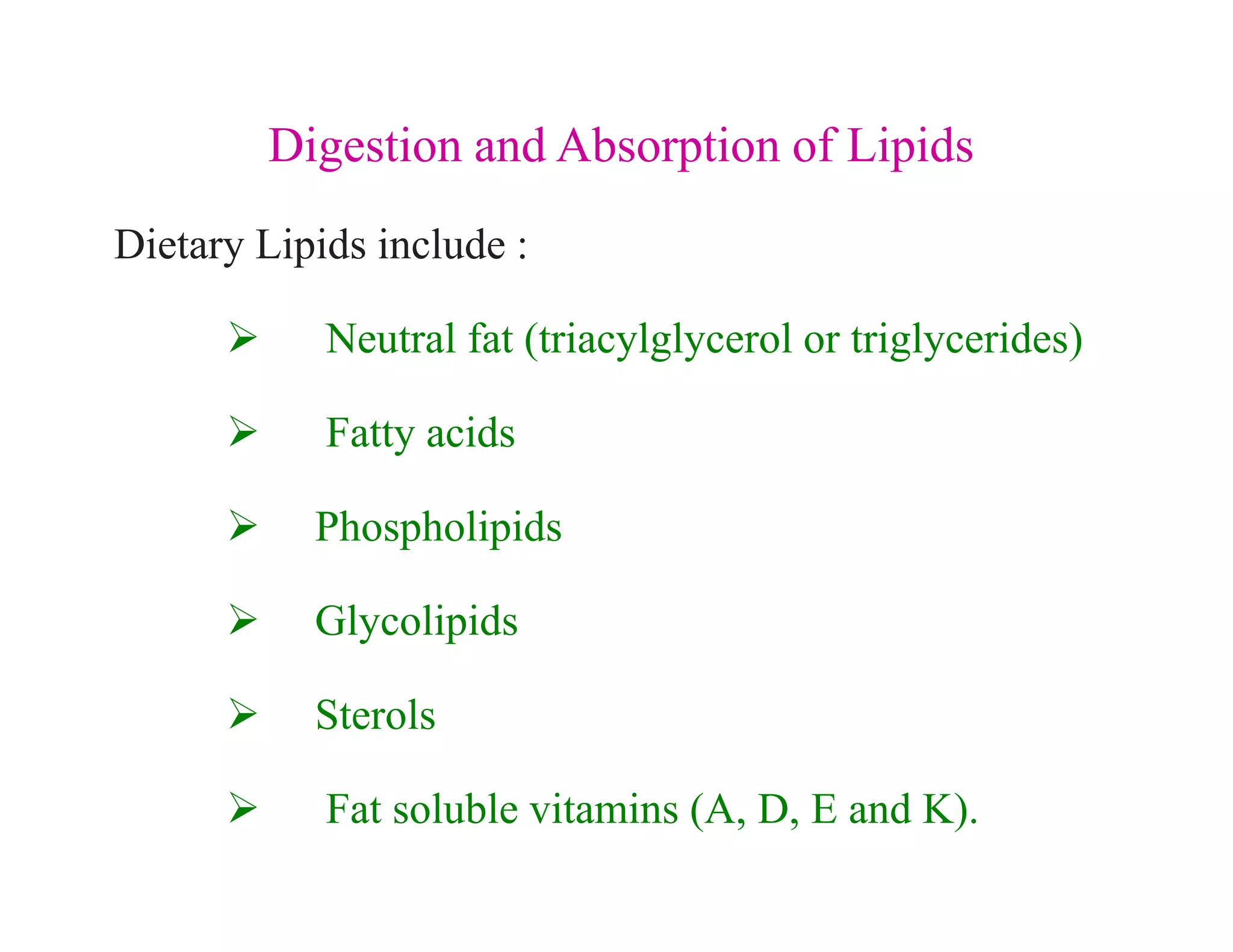 Lipid metabolisam modified.pdf | Digestive Disorders | Diseases and ...