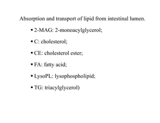 Lipid metabolisam modified.pdf