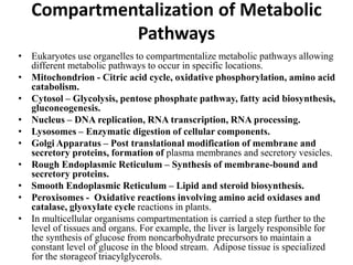 LIPID METABOLIS bMppt slide.pptx