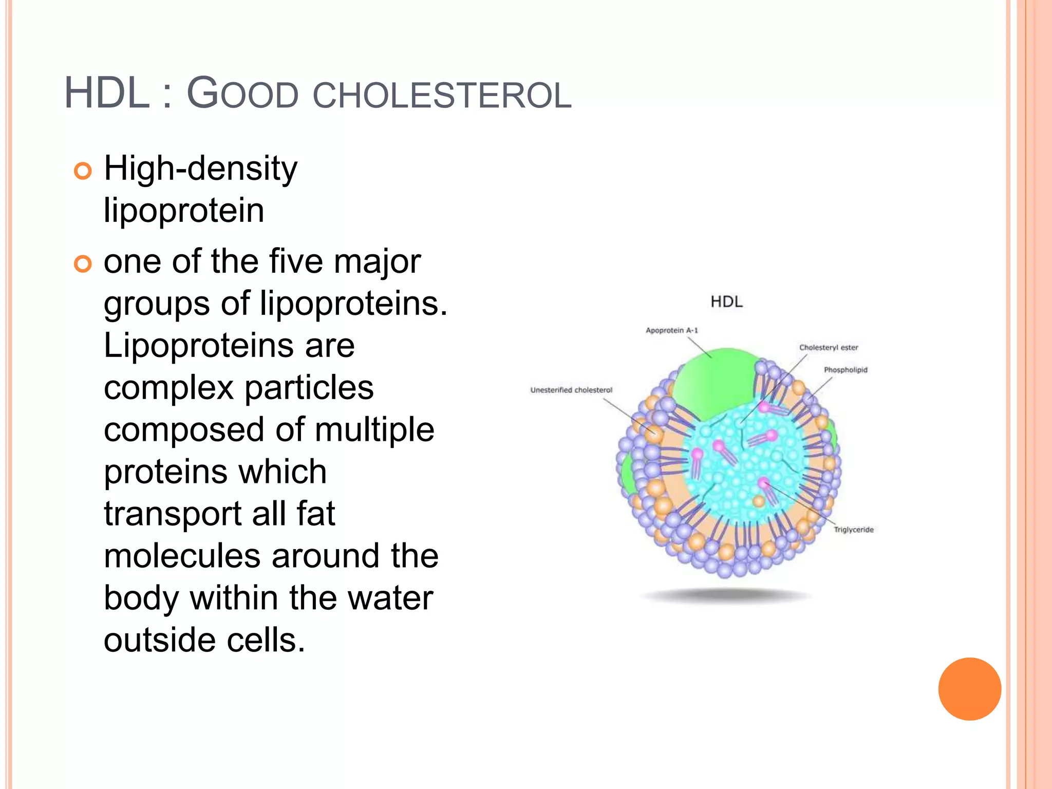 lipidmetabolism-180815094346.pdf