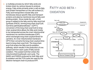 lipidmetabolism-180815094346.pdf