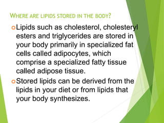 Lipid metabolism | PPTX