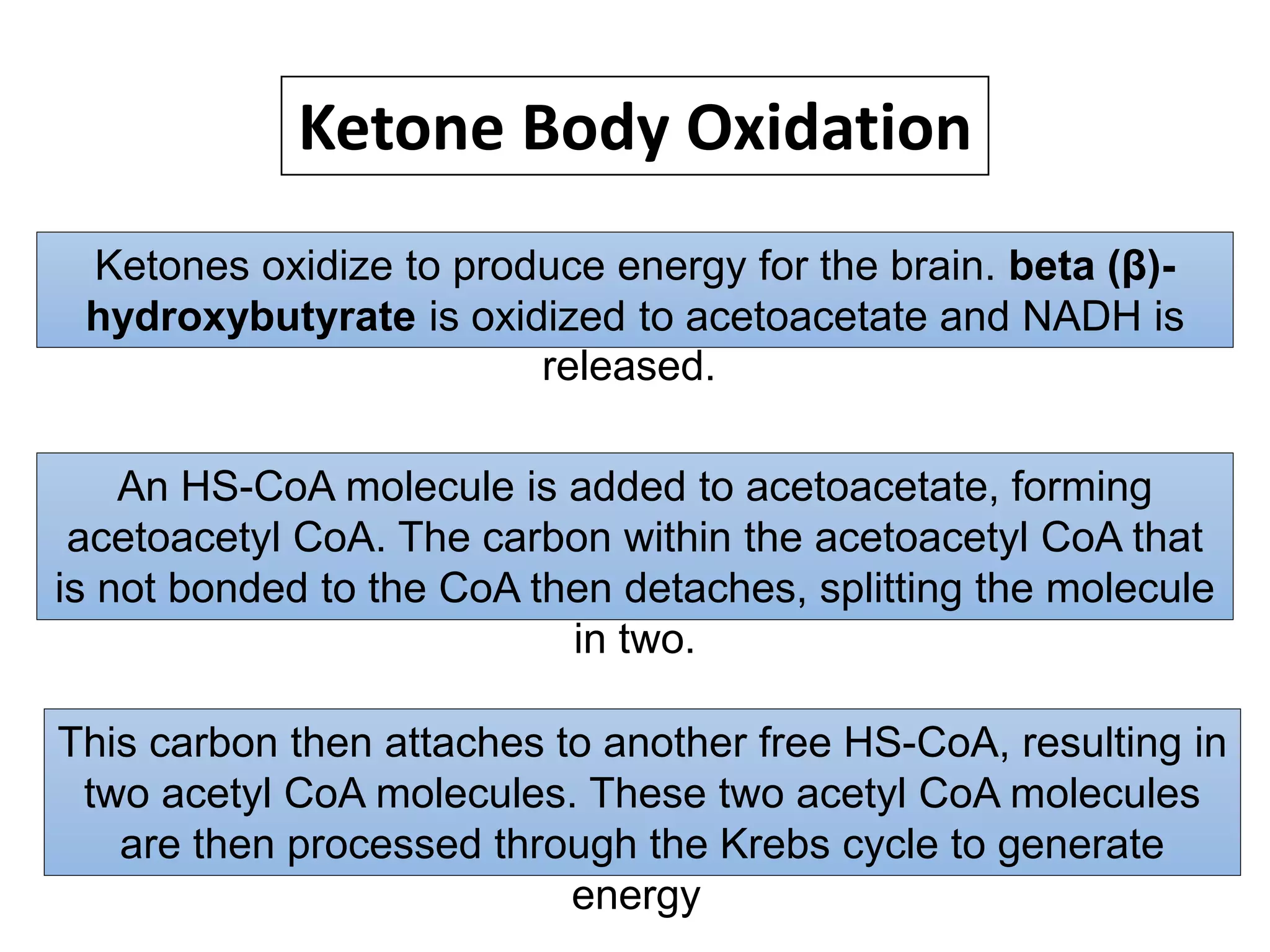 Lipid metabolism-Physiology-First Year Pharmacy | PPTX