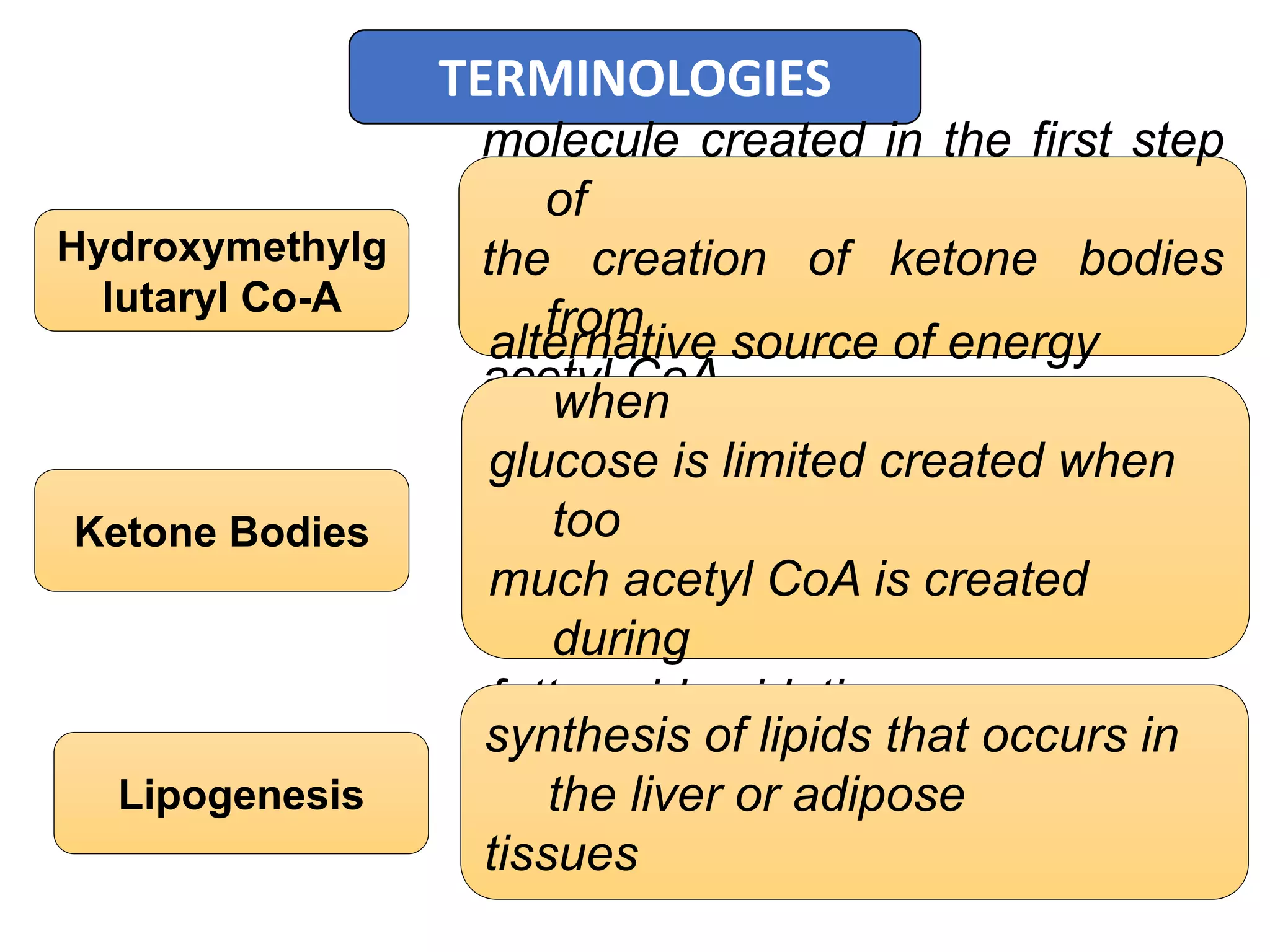 Lipid metabolism-Physiology-First Year Pharmacy | PPTX
