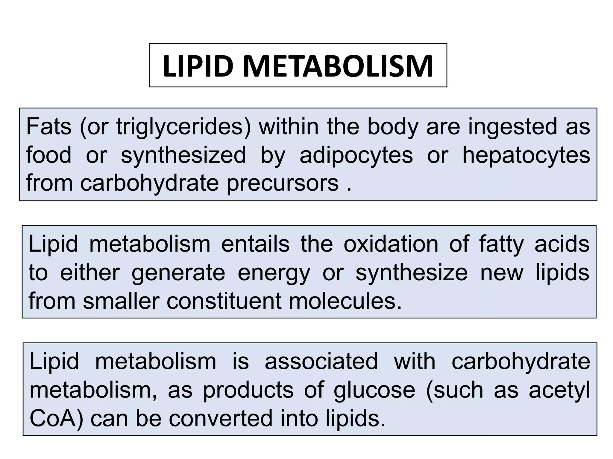 Lipid metabolism-Physiology-First Year Pharmacy | PPTX