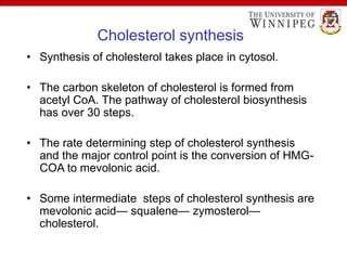 Lipid Metabolism -2.ppt