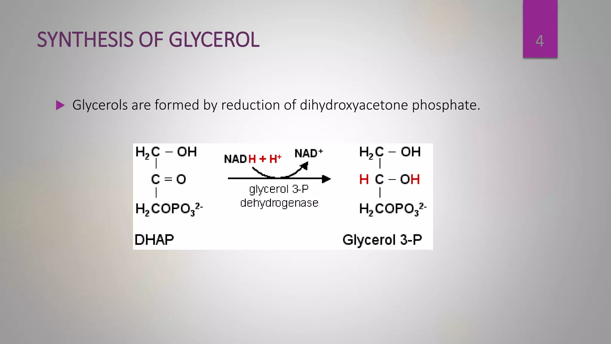 LIPID METABOLISM (Anabolism and Catabolism) | PPTX