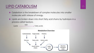 LIPID METABOLISM (Anabolism and Catabolism) | PPTX