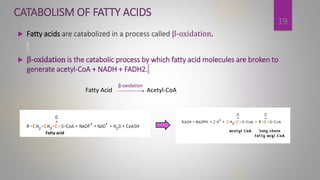 LIPID METABOLISM (Anabolism and Catabolism) | PPTX