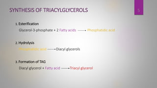 LIPID METABOLISM (Anabolism and Catabolism) | PPTX