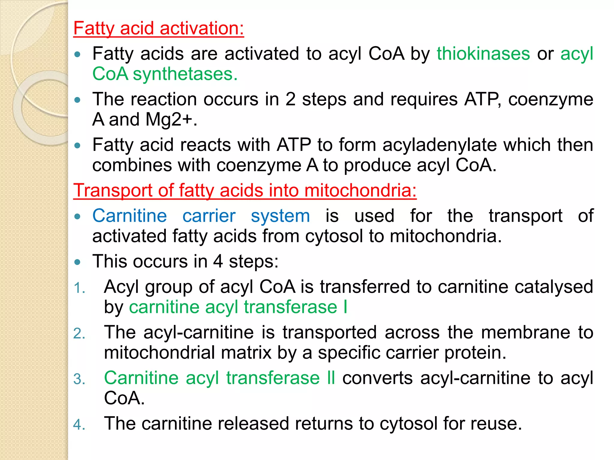 Lipid metabolism | PPTX