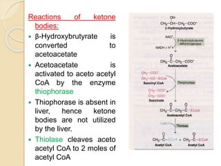 Lipid metabolism | PPTX