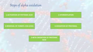 LIPID METABOLISM.pptx