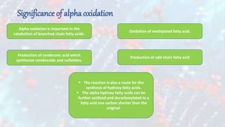 LIPID METABOLISM.pptx