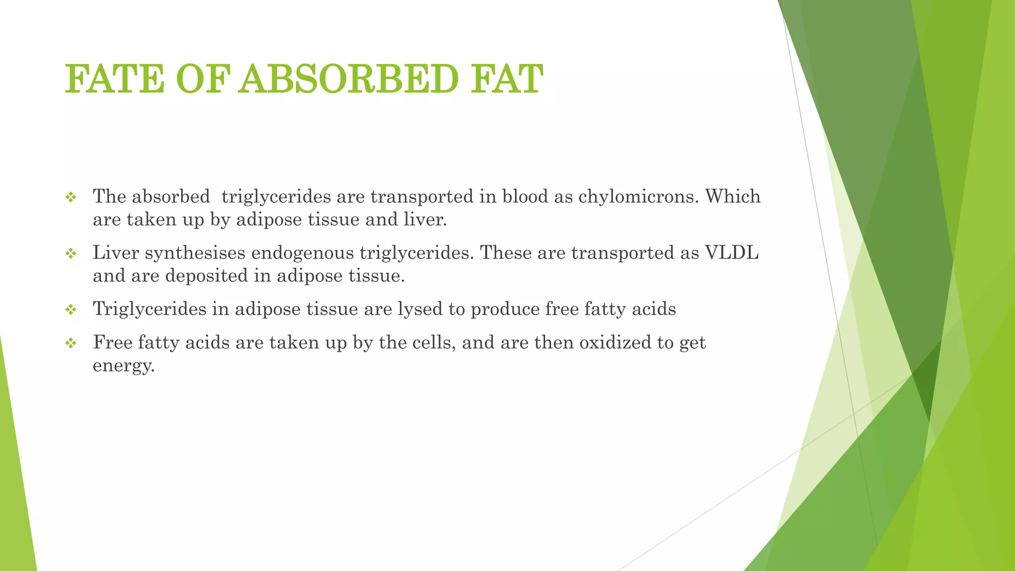 LIPID METABOLISM.pptx