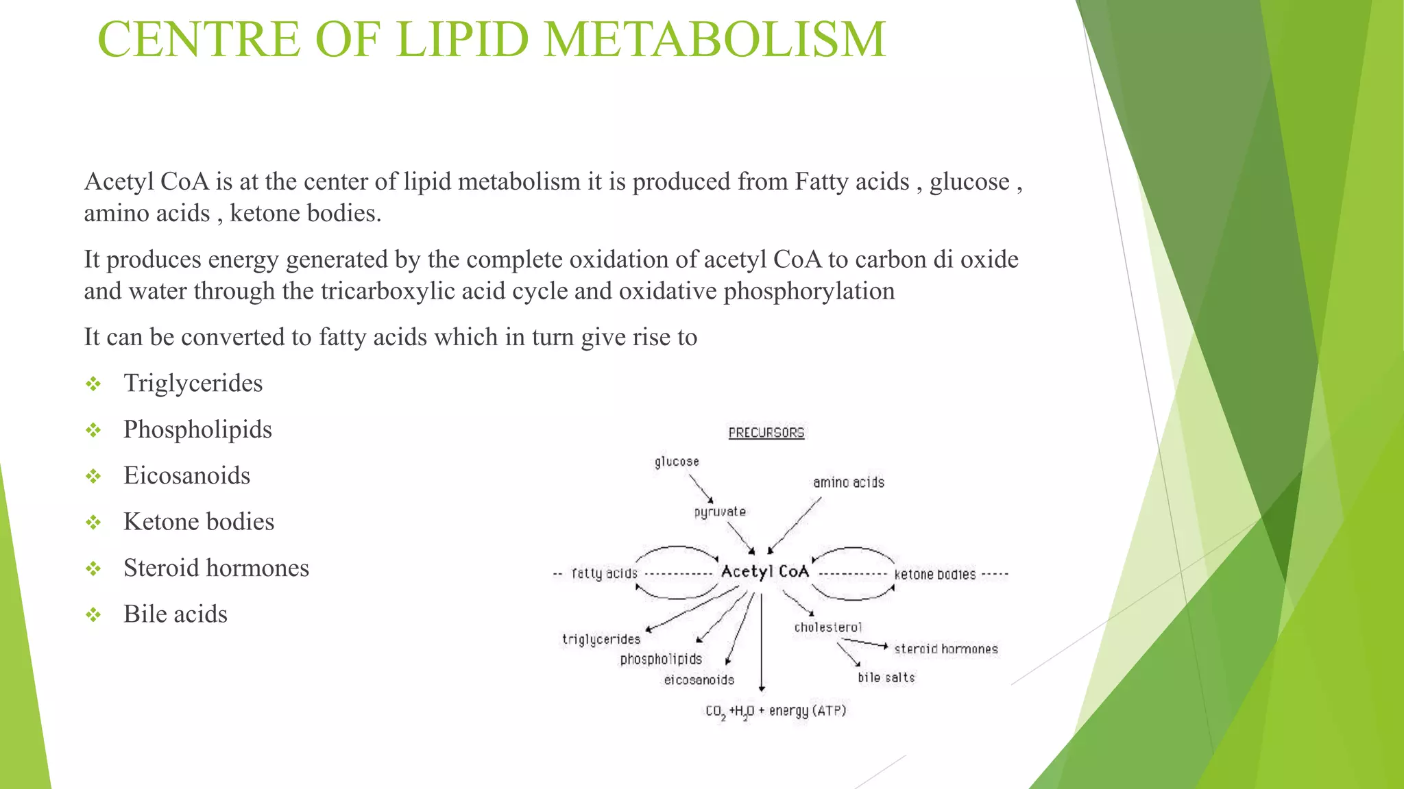 LIPID METABOLISM.pptx
